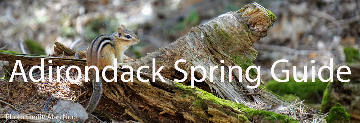 2019 Adirondack Spring Guide: Discover Outdoor Fun, Top Activities & More