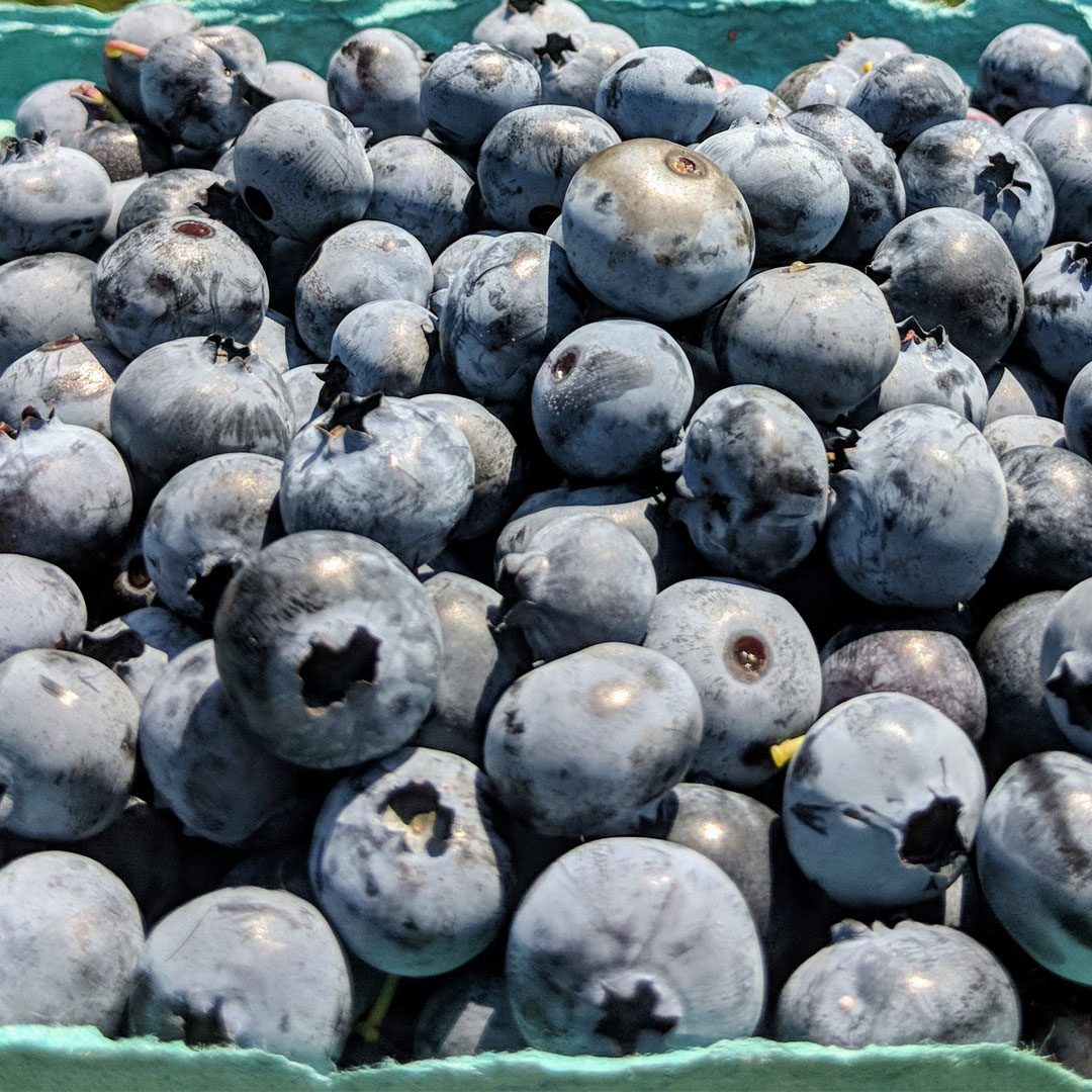 Farmers Markets in the Adirondacks: Find Fresh Produce, Meat & More