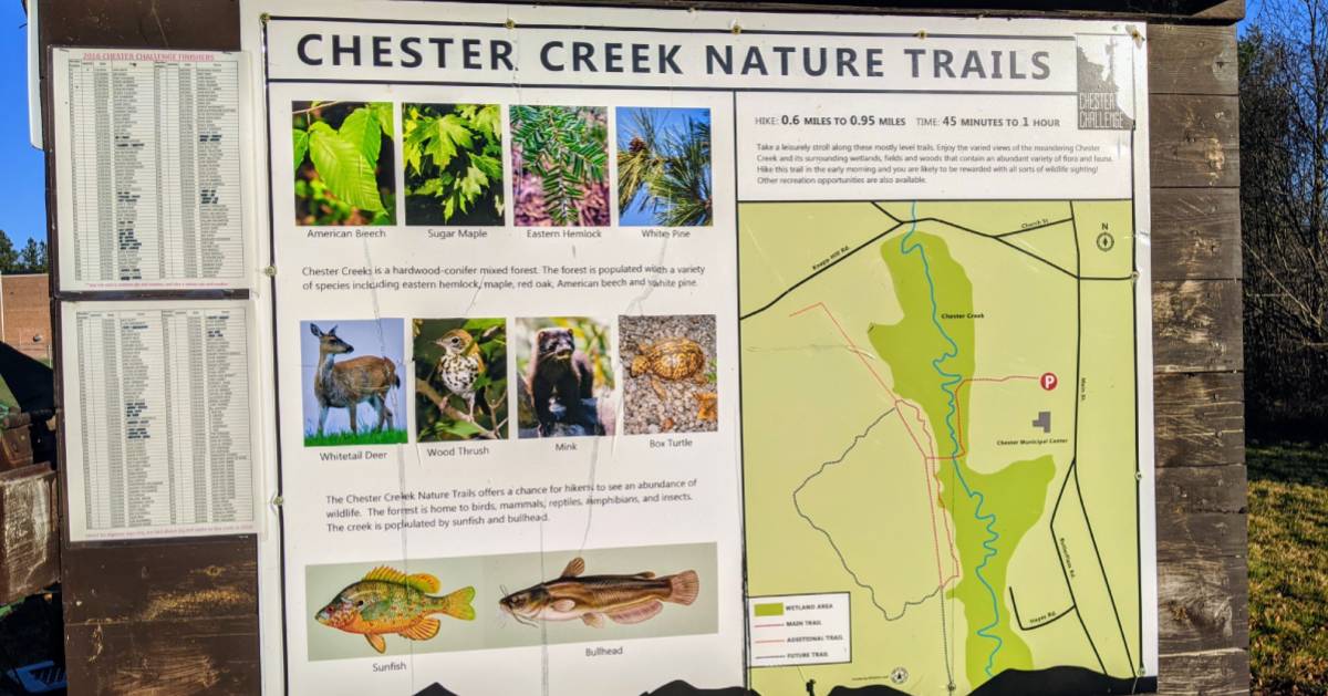 Hiking Challenges: The Chester Challenge