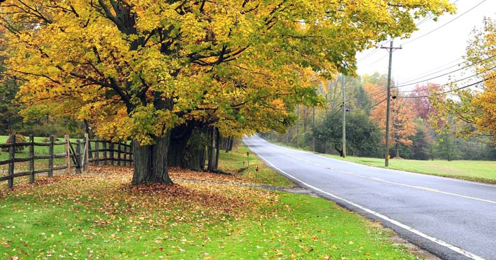Top Spots For Fall Foliage in the Adirondacks