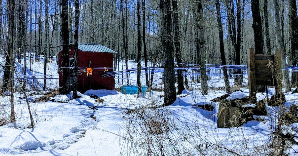 Adirondack Maple Sugar Houses: Tours, History & Events