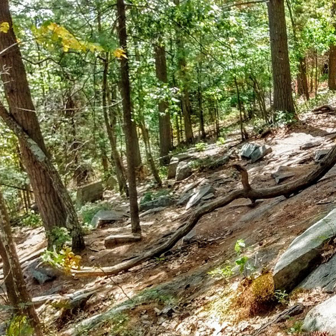 Tackle Mud Season With These 7 Great Spring Hikes in the Adirondacks