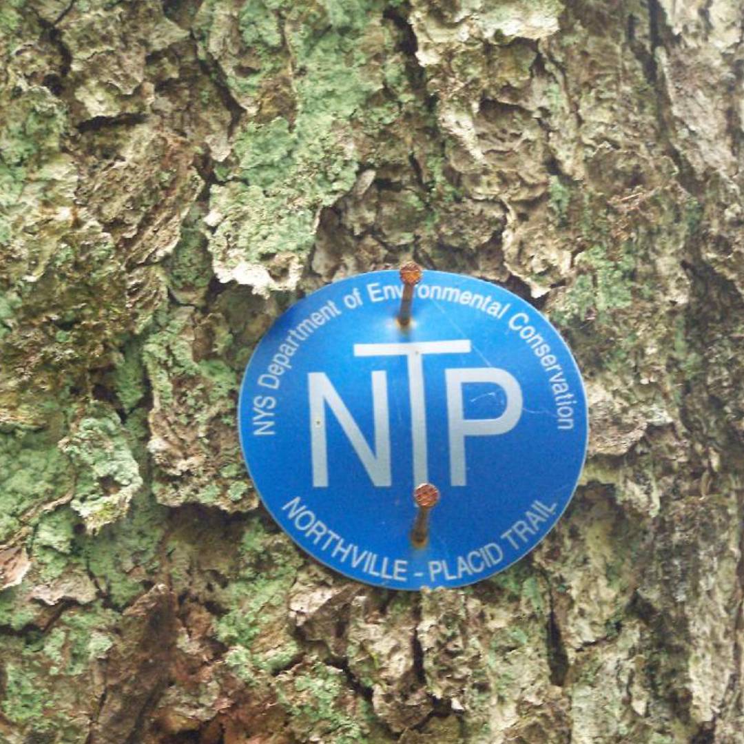 Northville-Placid Trail Challenge